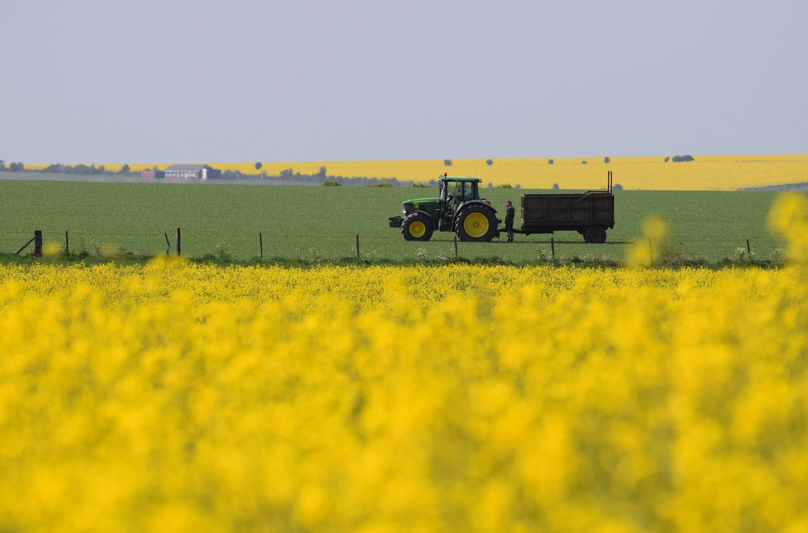 Rural Service Network - Citizens Advice